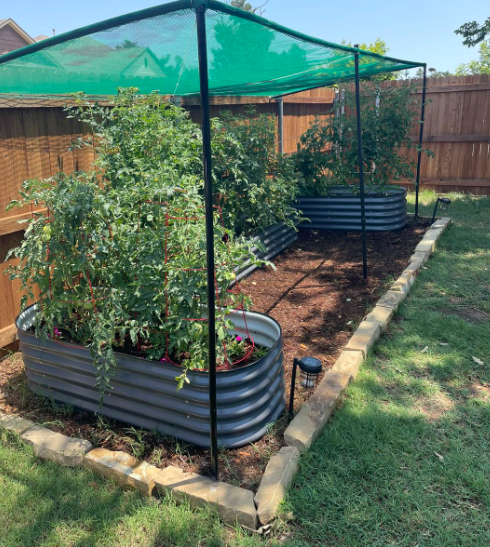 Your Garden That Grows Itself – Bald Buck Seasoning